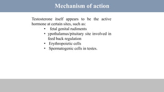 Androgen ppt by Baasir Umair Khatak.pptx