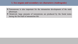 Androgen ppt by Baasir Umair Khatak.pptx