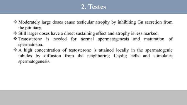Androgen ppt by Baasir Umair Khatak.pptx