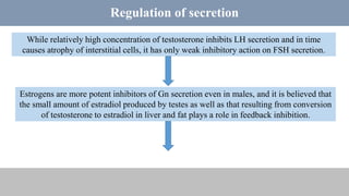 Androgen ppt by Baasir Umair Khatak.pptx