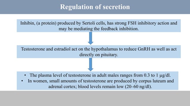 Androgen ppt by Baasir Umair Khatak.pptx