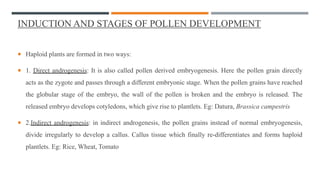 Androgenesis theresa- 9653 | PPTX