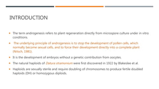 Androgenesis theresa- 9653 | PPTX