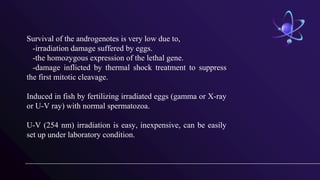 Androgenesis, Gynogenesis- Induction.pptx