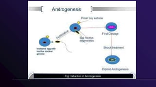 Androgenesis, Gynogenesis- Induction.pptx