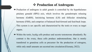 Androgenic Hormones Disturbances.pdf