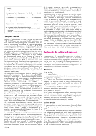 Androgenismo virilizacion mujer | PDF