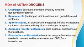 Androgens | PPTX