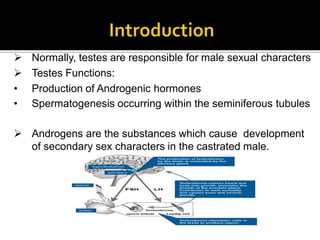 Androgens, anabolic steroids and antiandrogens | PPTX