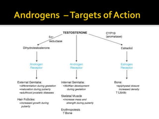 Androgens, anabolic steroids and antiandrogens | PPTX
