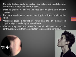 Androgens, Anabolic steroids, Oestrogen, progesterone.pptx
