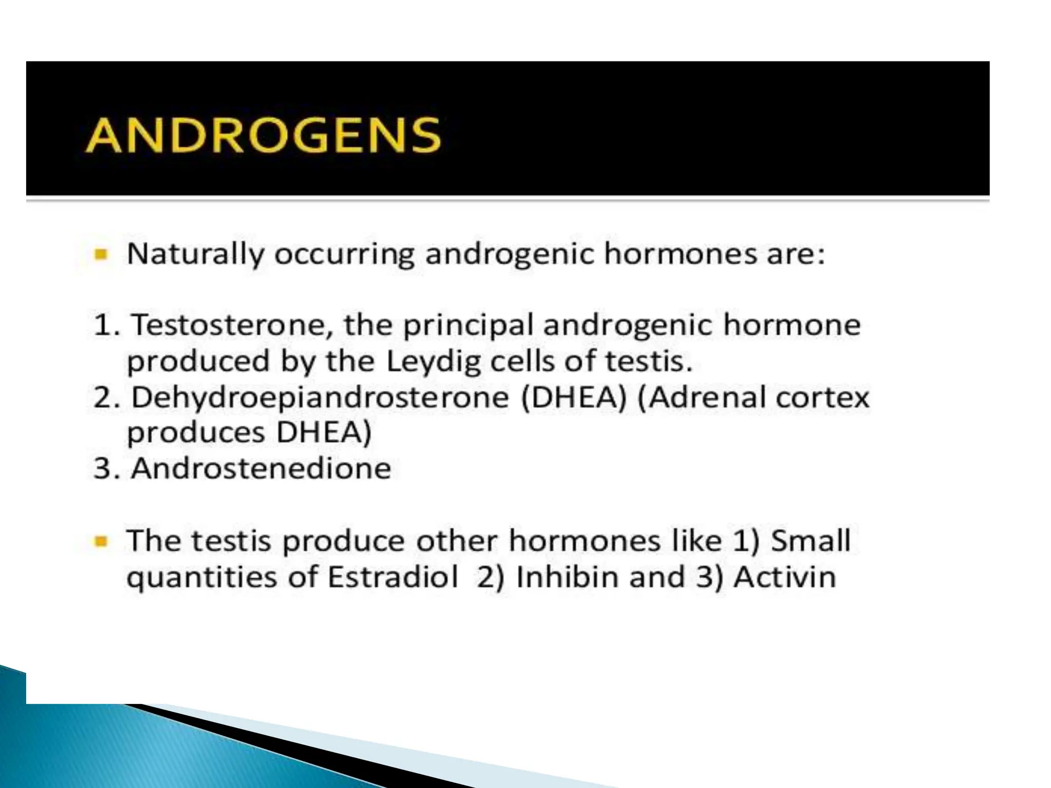 androgens and antiandrogens.pptx by rammohan | PPT