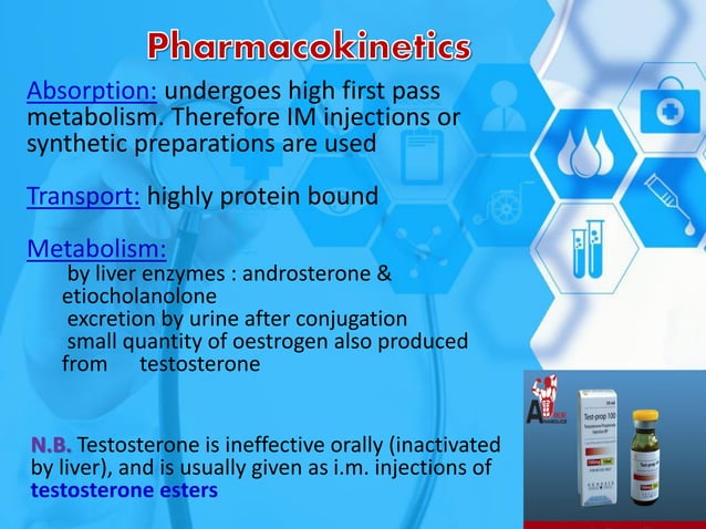 Androgens male sex hormones | PDF | Hormonal Disorders | Endocrine and ...