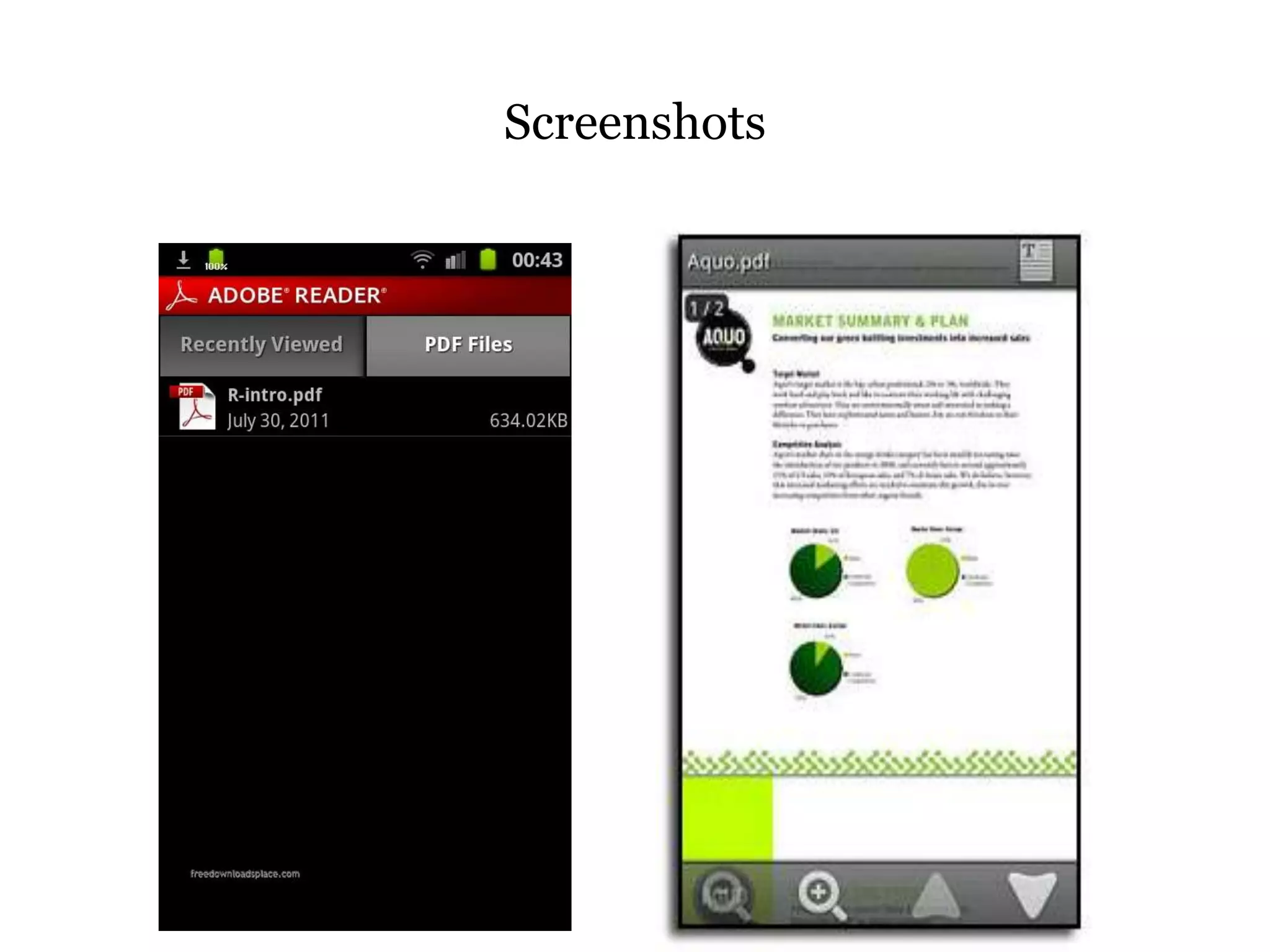 Androgyan presentation 1 | PPTX