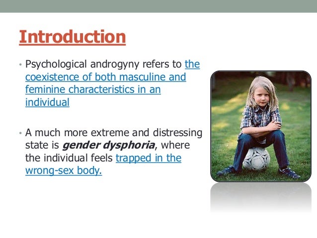 Androgyny powerpoint (psychology)