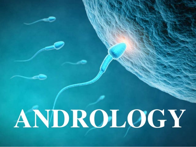 Austin Andrology