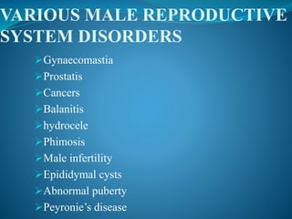 Austin Andrology | PPTX