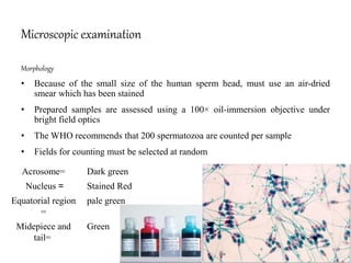 Andrology lab | PPTX