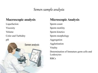 Andrology lab | PPTX