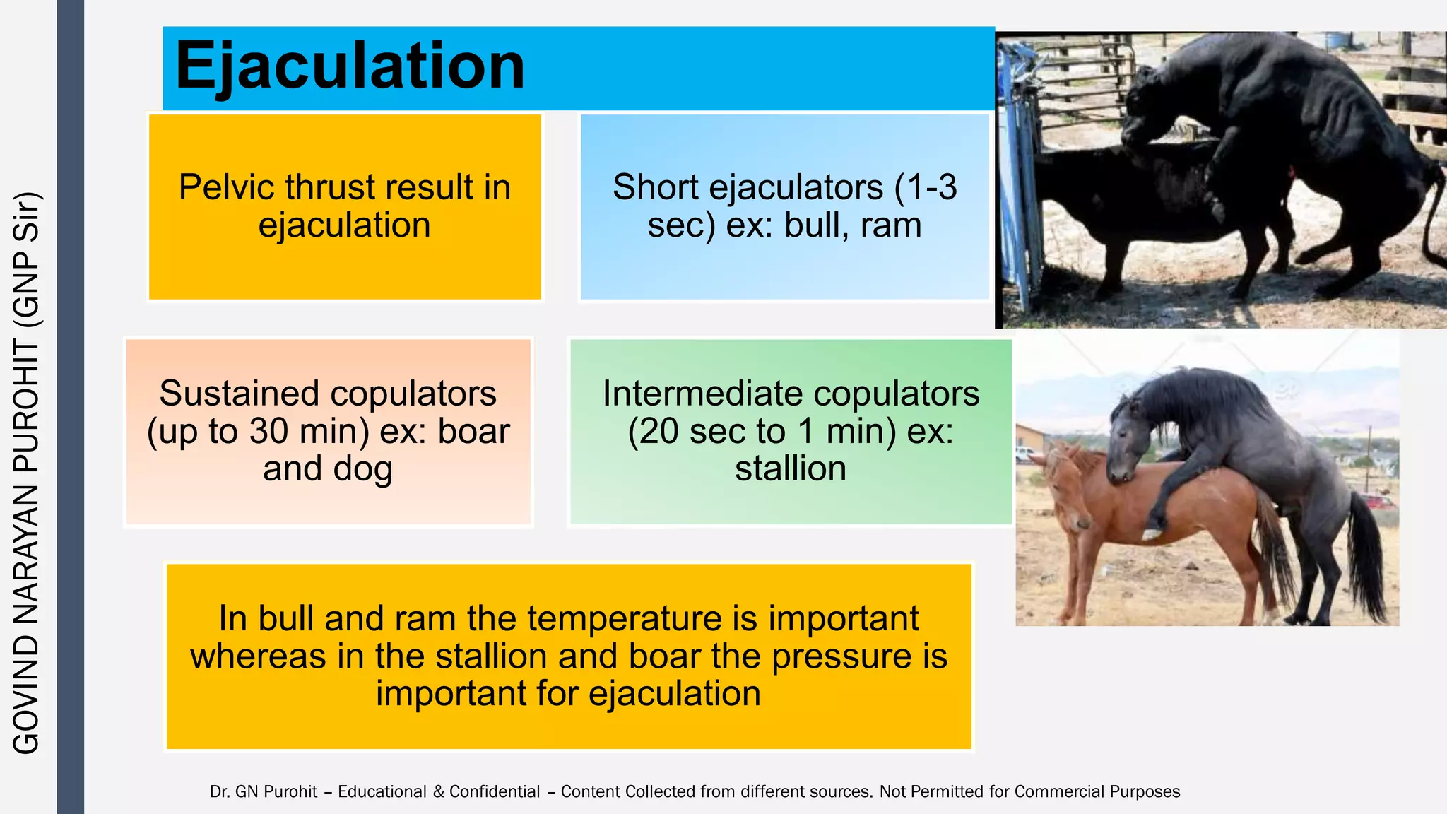 Andrology lecture 10 sexual behavior in male animals | PDF