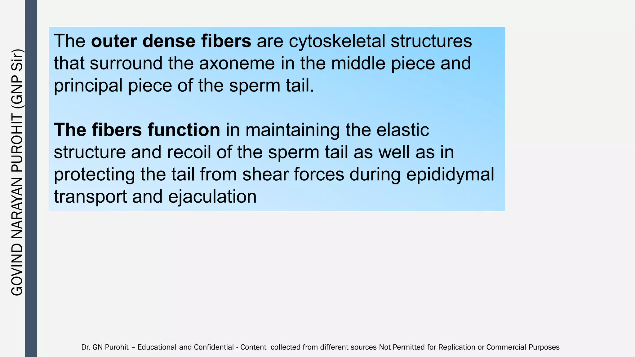 Andrology lecture 14 semen and its composition in male animals (1) | PDF