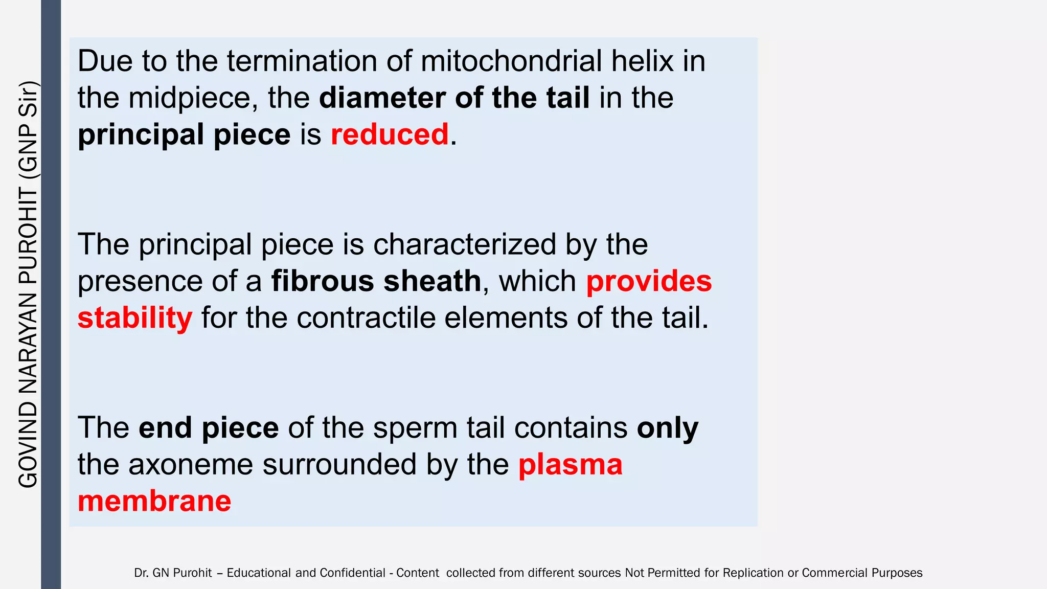 Andrology lecture 14 semen and its composition in male animals (1) | PDF