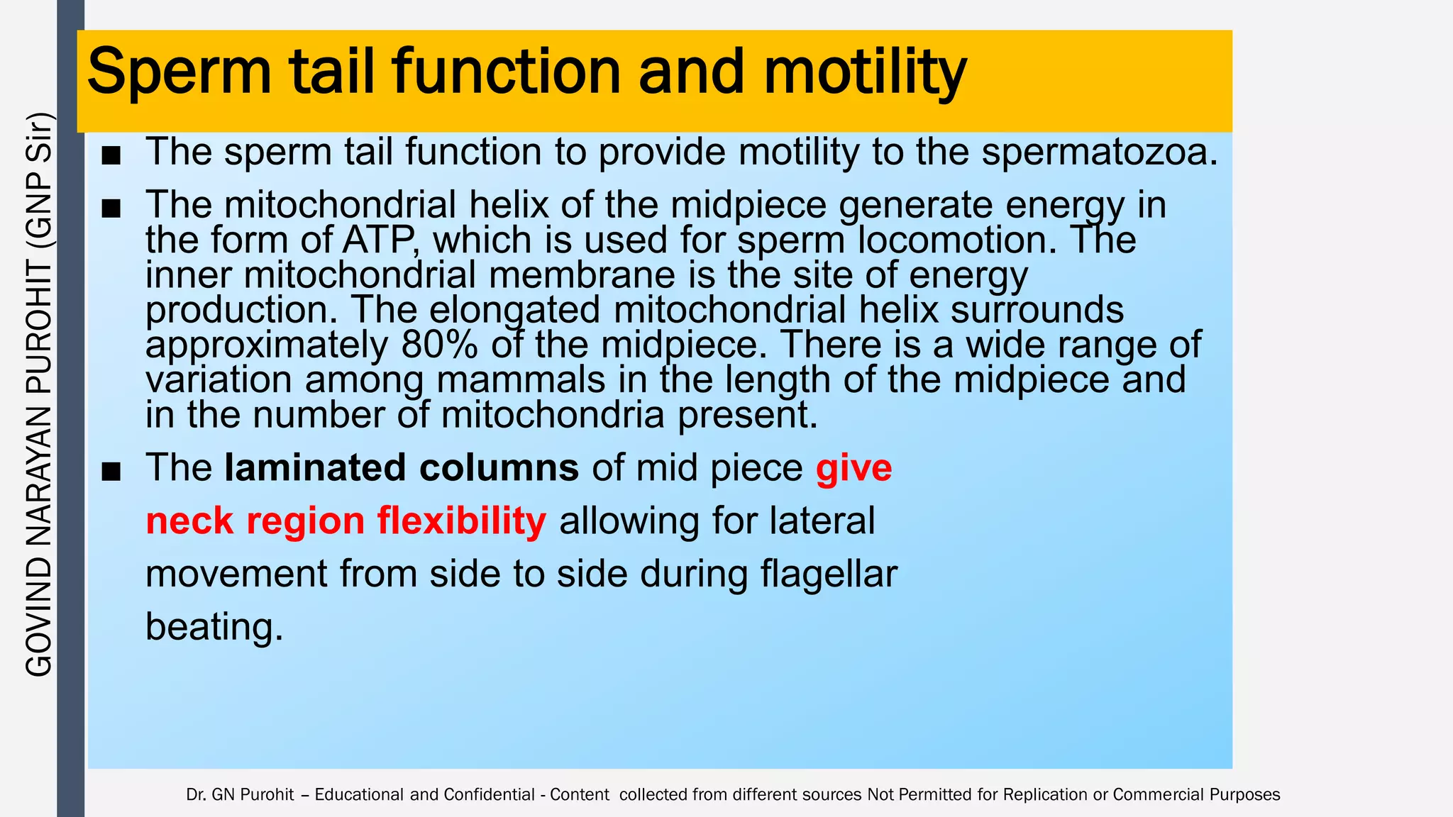 Andrology lecture 14 semen and its composition in male animals (1) | PDF