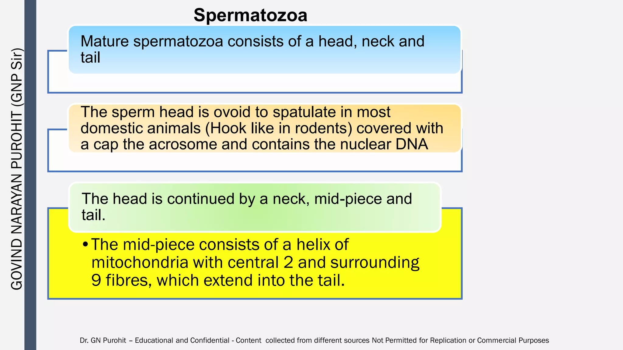 Andrology lecture 14 semen and its composition in male animals (1) | PDF