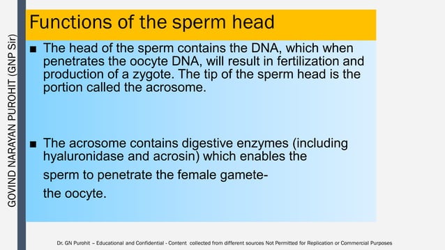 Andrology lecture 14 semen and its composition in male animals (1) | PDF