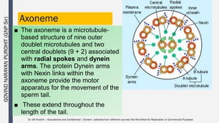 Andrology lecture 14 semen and its composition in male animals (1) | PDF