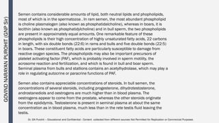 Andrology lecture 14 semen and its composition in male animals (1) | PDF