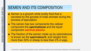 Andrology lecture 14 semen and its composition in male animals (1) | PDF