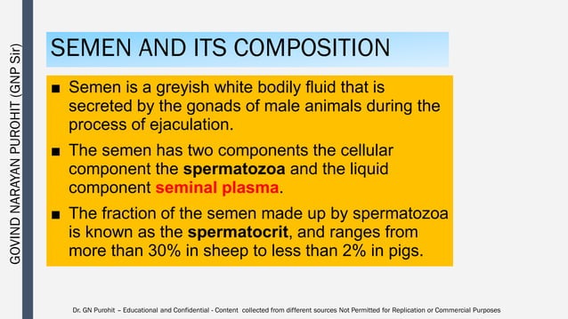 Andrology lecture 14 semen and its composition in male animals (1) | PDF