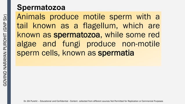 Andrology lecture 14 semen and its composition in male animals (1) | PDF