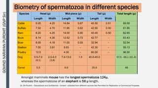 Andrology lecture 14 semen and its composition in male animals (1) | PDF