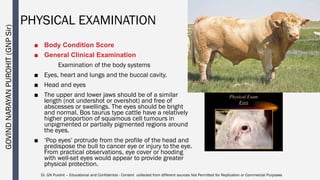 Andrology lecture 15 Breeding soundness evaluation of bulls | PDF