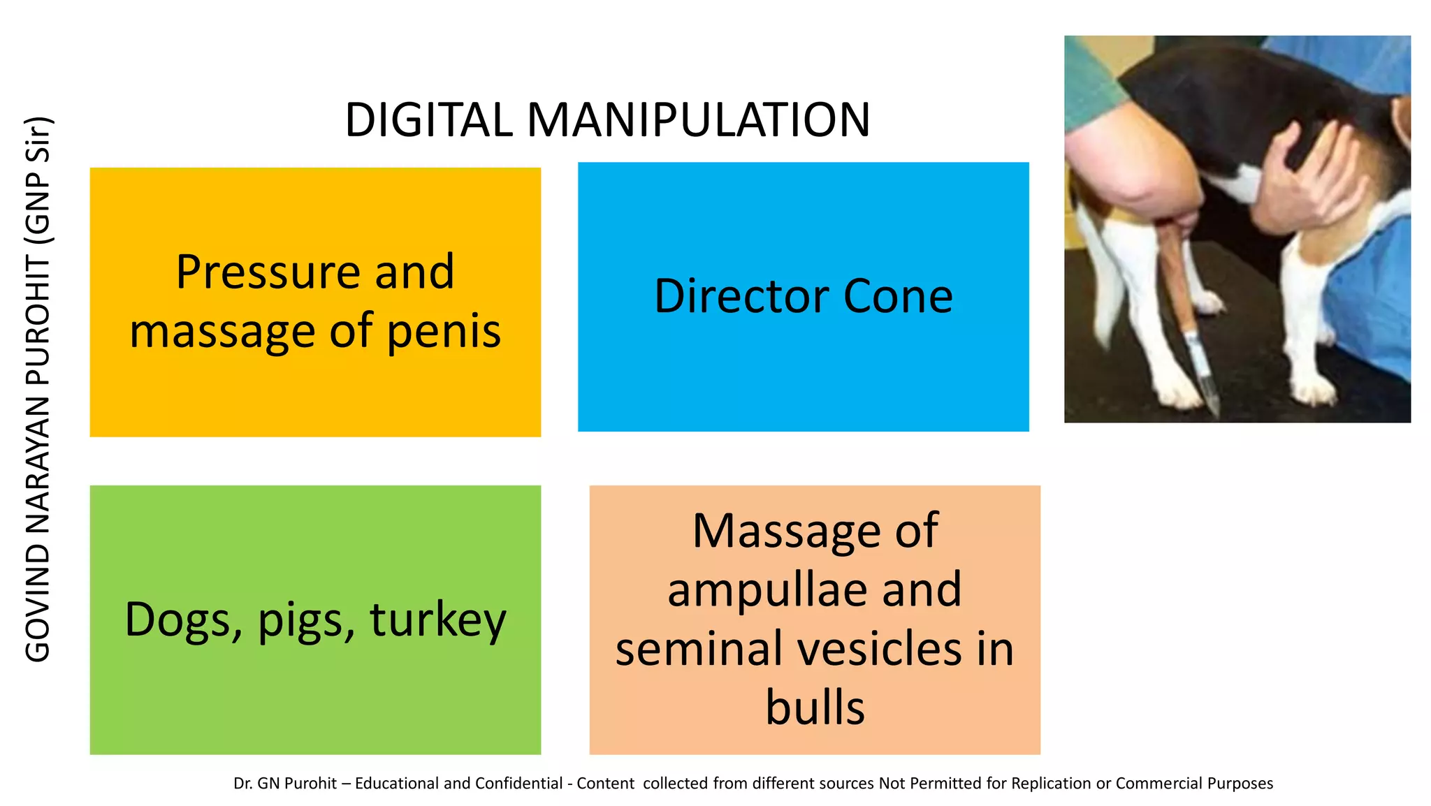 Andrology lecture 16 Semen collection from male animals and its ...
