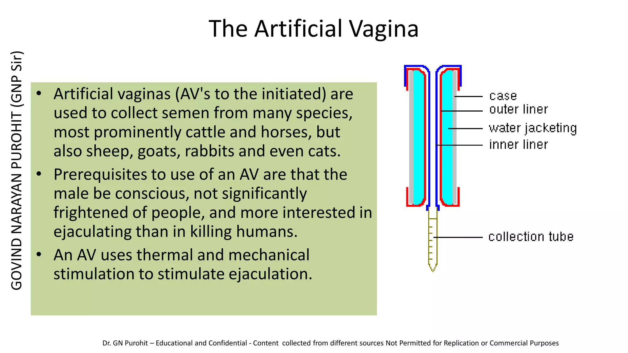 Andrology lecture 16 Semen collection from male animals and its ...