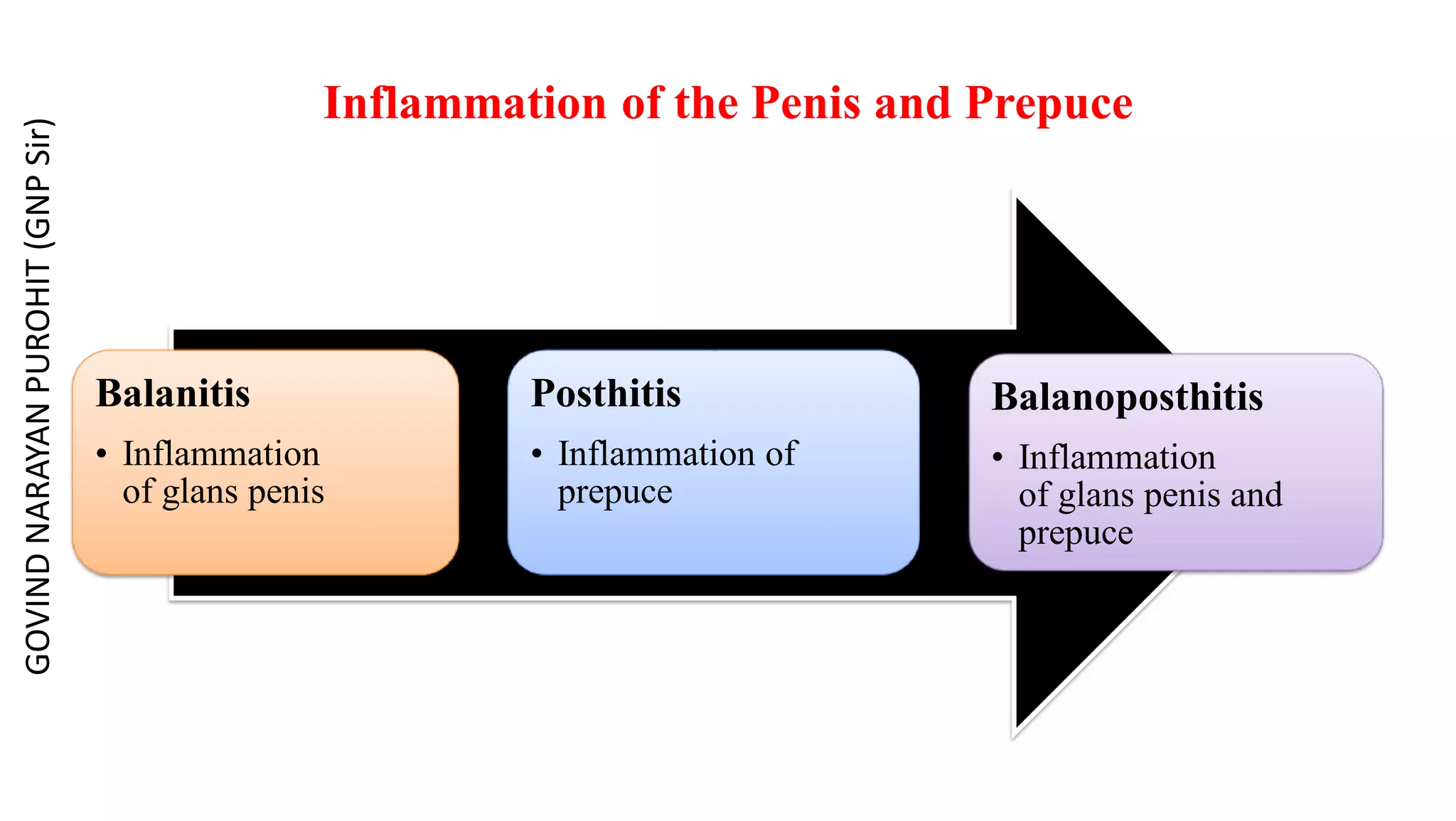 Andrology lecture 17 male inf impot coeundi | PDF