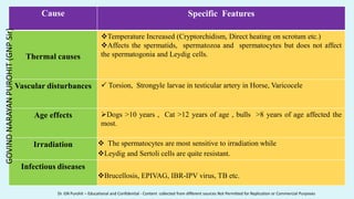 Andrology lecture 19 impotentia generandi part 2 | PDF