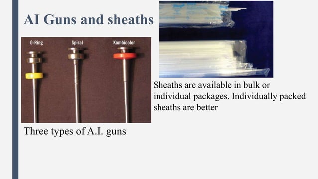 Andrology lecture 1 Technique of Artificial insemination in cattle | PDF