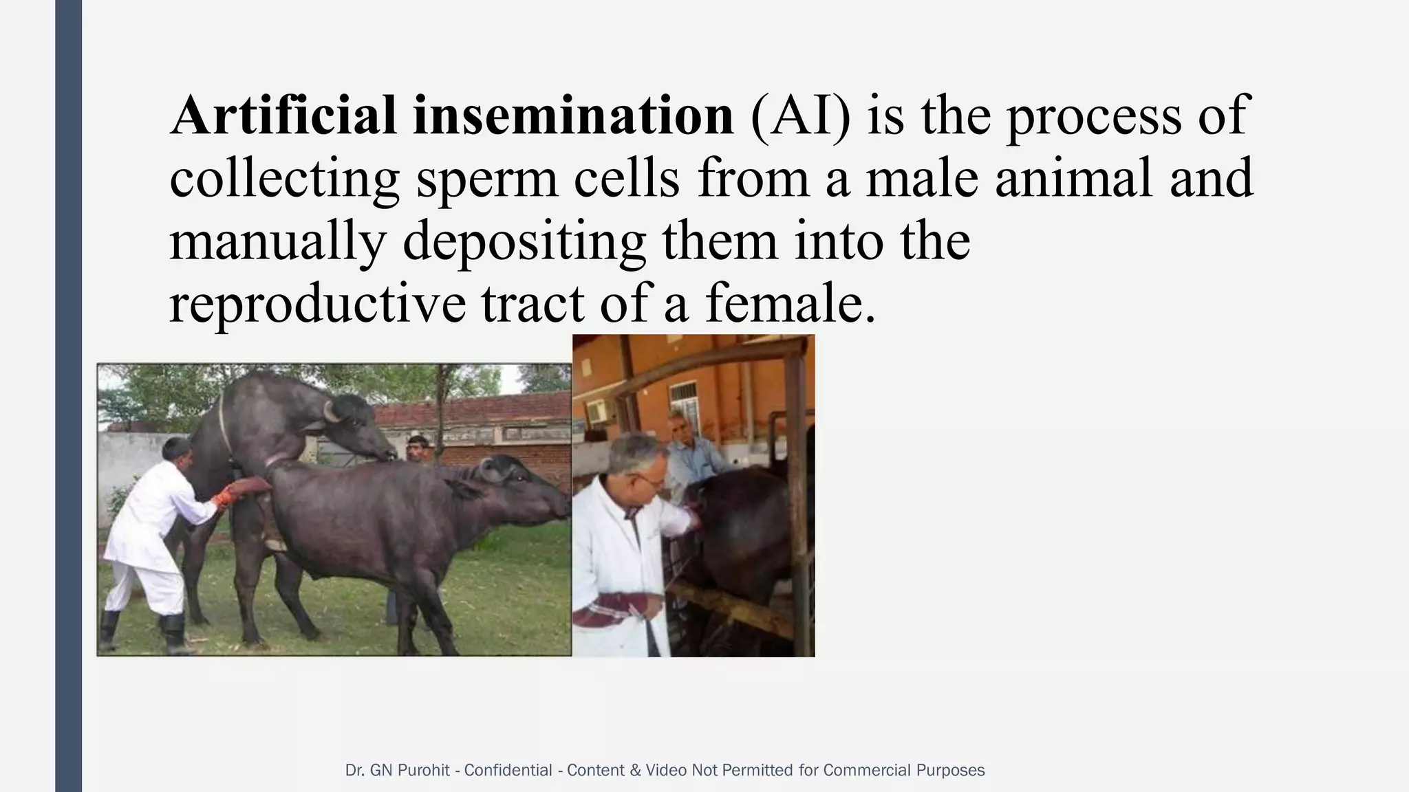 Andrology lecture 2 artificial insemination advantages and history | PDF