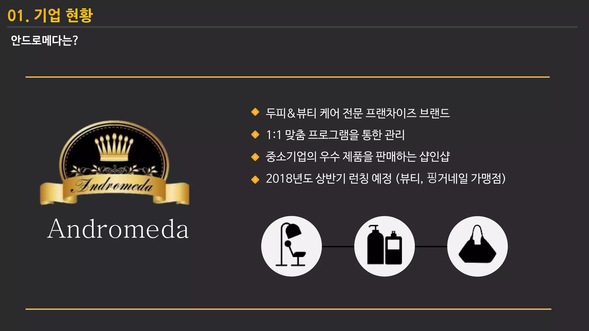 Andromeda Beauty Business | PPT