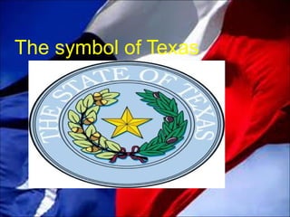 Texas | PPT