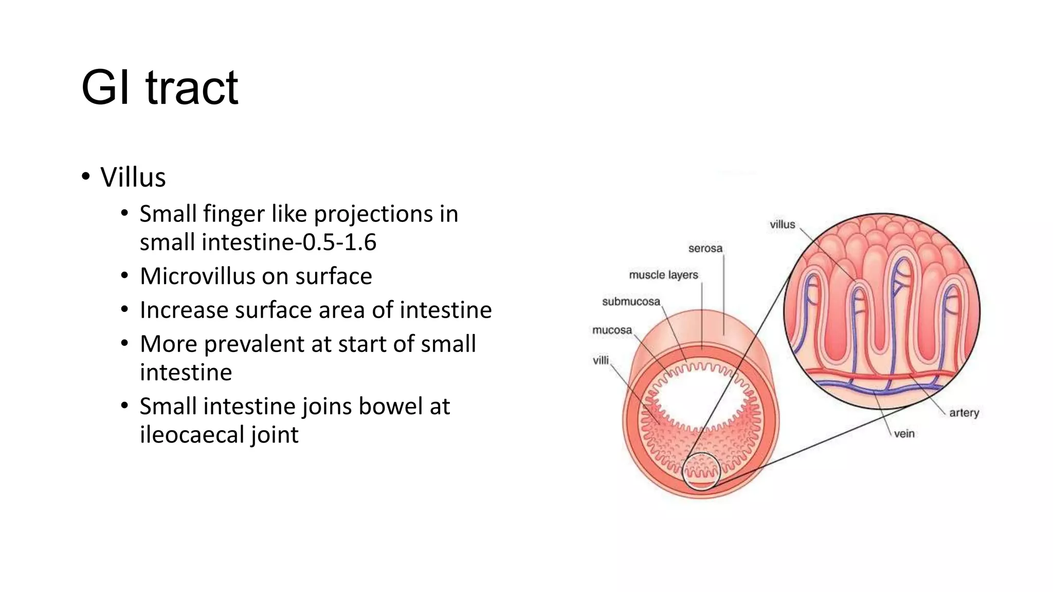 Clinical examination of the gi tract and abdomen [recovered] [recovered ...