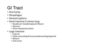 Clinical examination of the gi tract and abdomen [recovered] [recovered ...