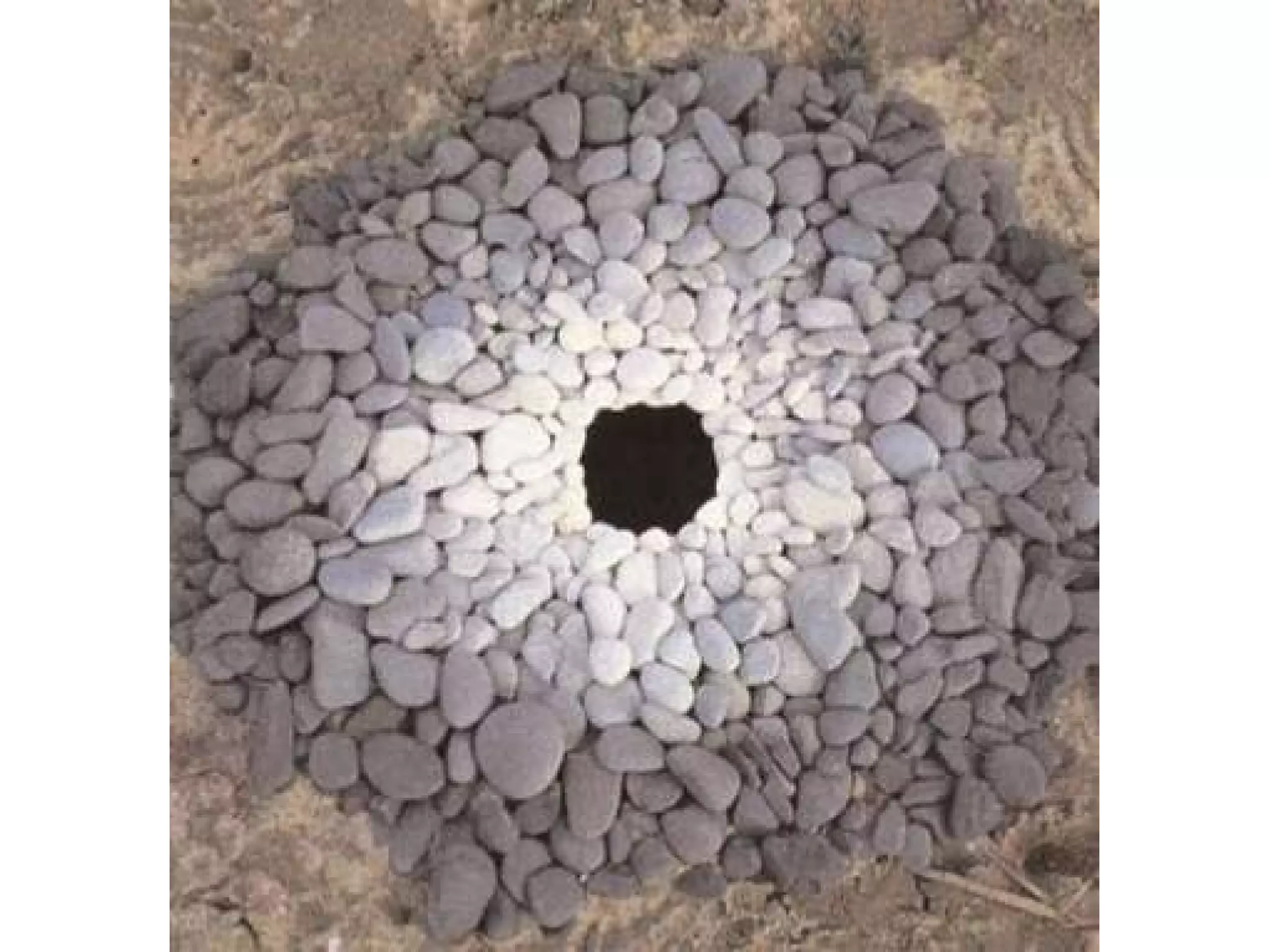 Andy goldsworthy | PPT
