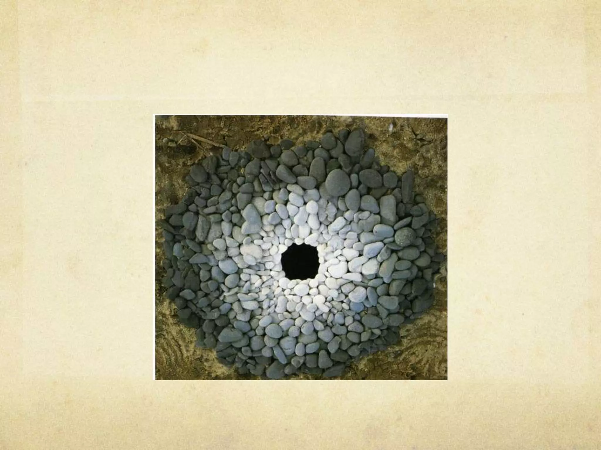 Andy goldsworthy | PPTX