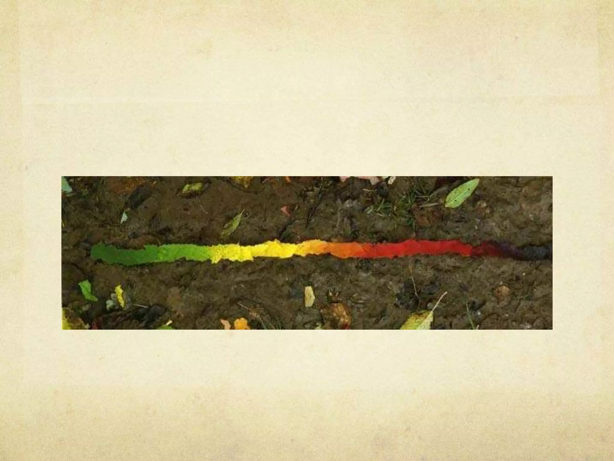 Andy goldsworthy | PPT