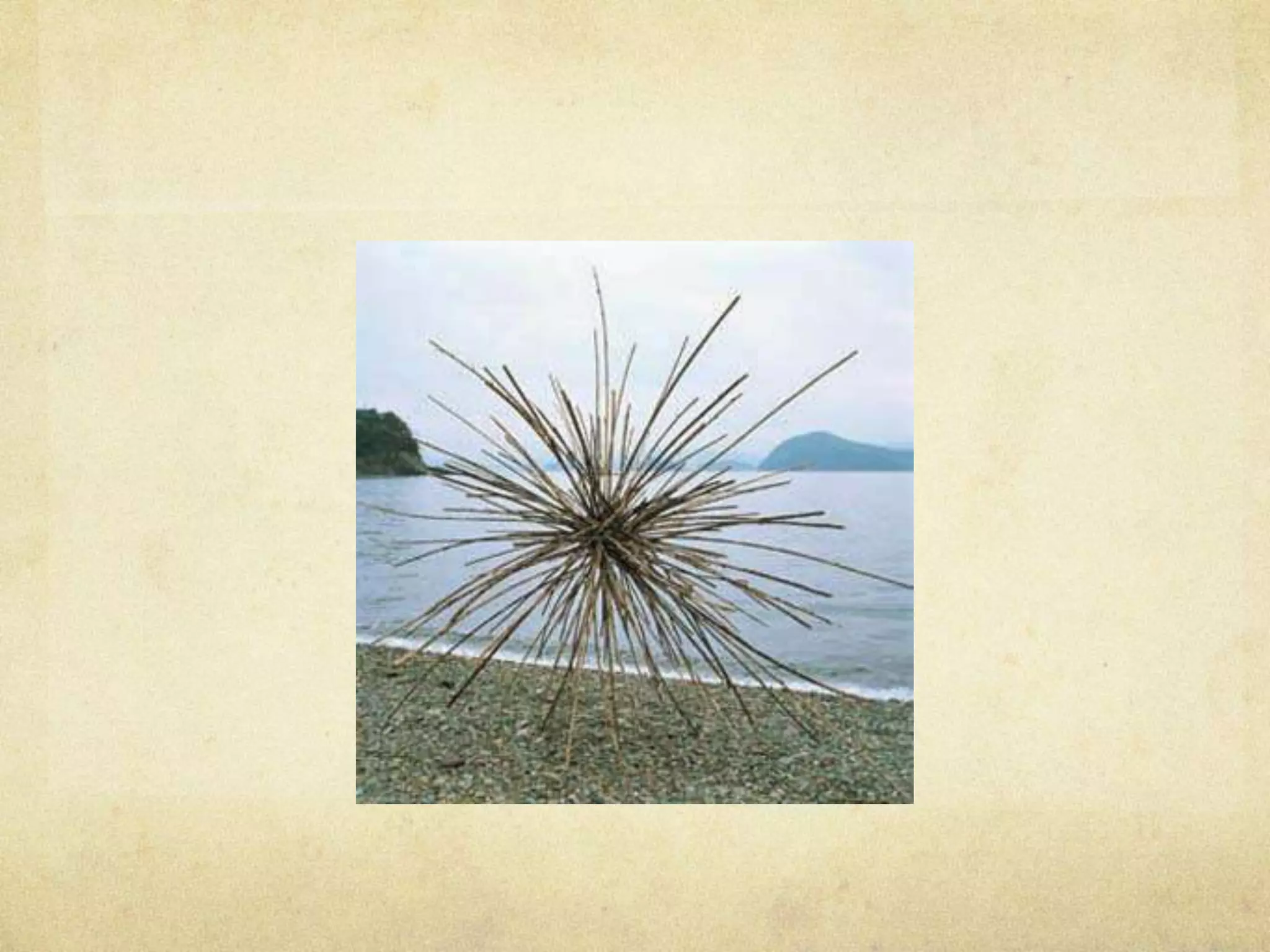 Andy goldsworthy | PPTX